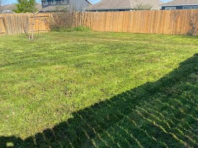 Kyle Lawn Care & Mowing Services - Lawn Love of Kyle