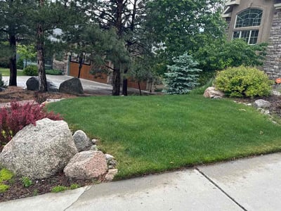Colorado Springs Lawn Care & Mowing Services - Lawn Love of Colorado ...
