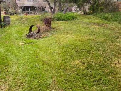 Kyle Lawn Care & Mowing Services - Lawn Love of Kyle