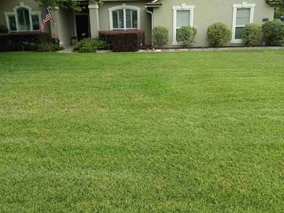 Fleming Island Lawn Care & Mowing Services - Lawn Love of Fleming Island