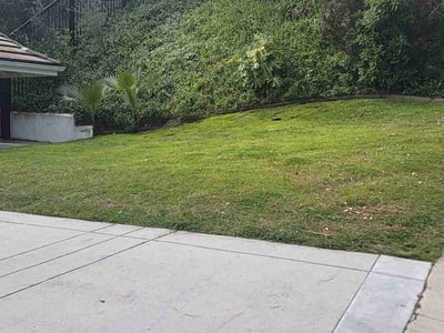 Los Angeles Lawn Care & Mowing Services - Lawn Love of Los Angeles