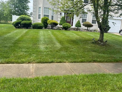 New Jersey Lawn Care Company - Services from $29 - Lawn Love