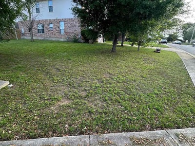 Kyle Lawn Care & Mowing Services - Lawn Love of Kyle